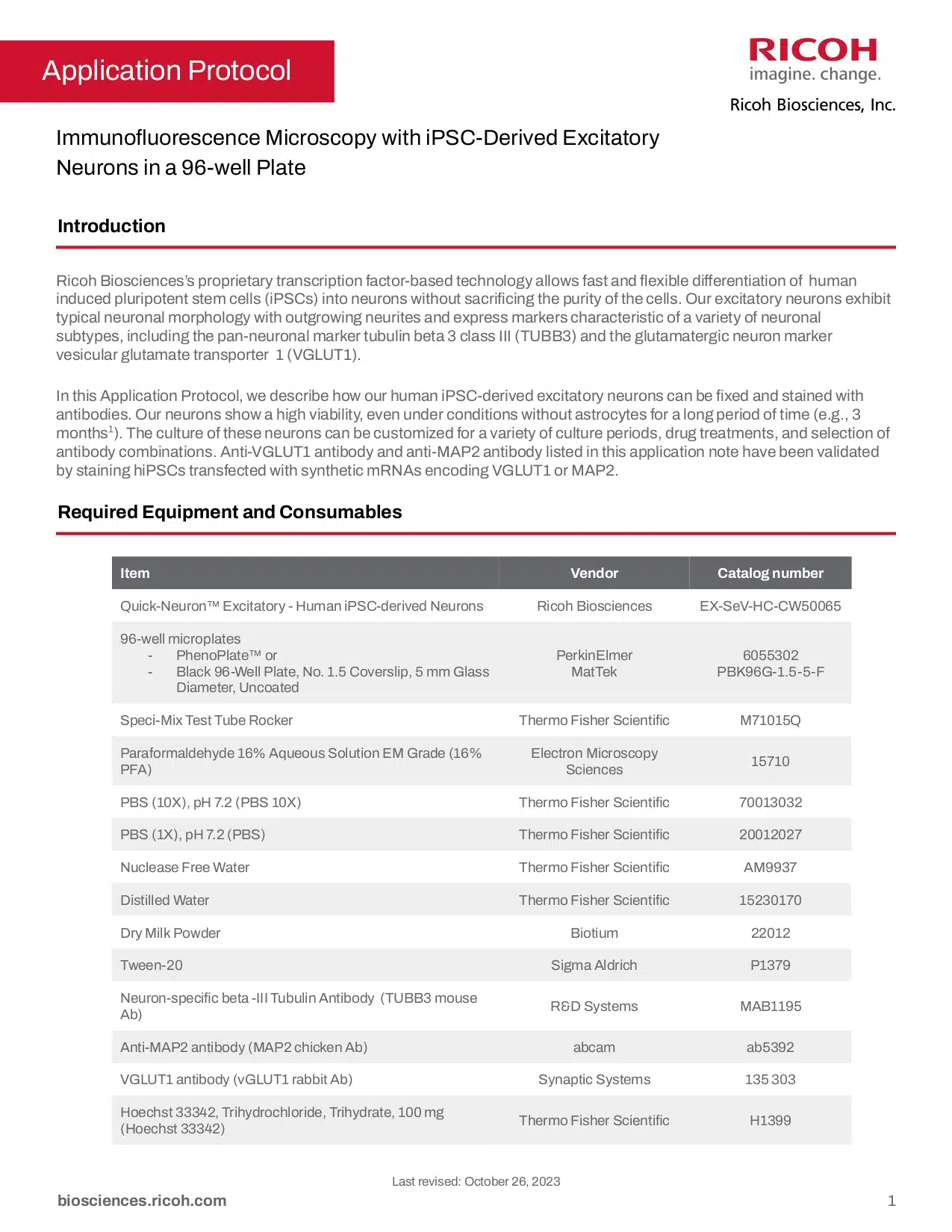 Immunofluorescence Protocol for iPSC-Derived Excitatory Neurons (96 ...