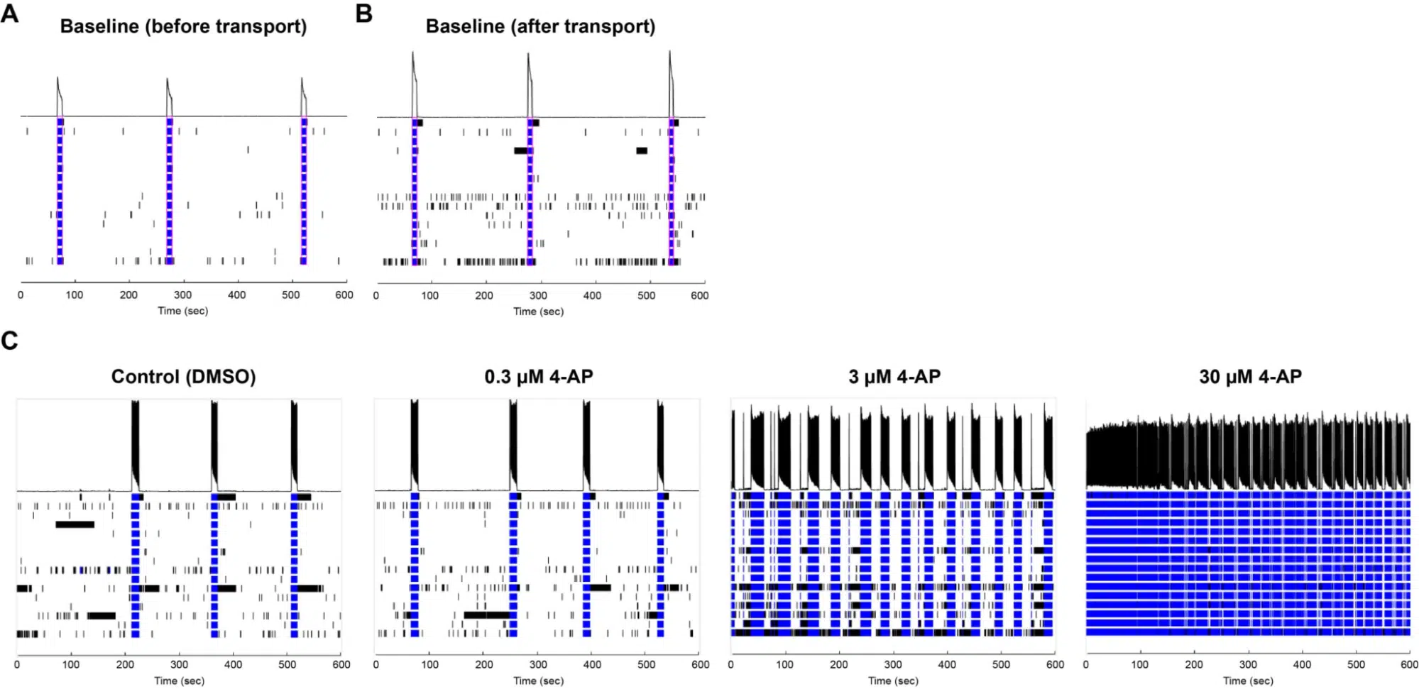 Quick-Neuron™ Excitatory – Human iPSC-Derived Neurons (Healthy Donor ...