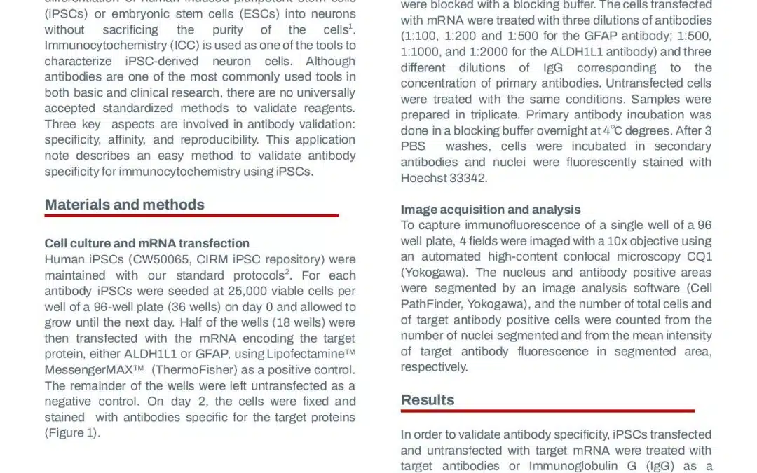Antibody Validation with mRNA Transfection Into Human Pluripotent Stem ...