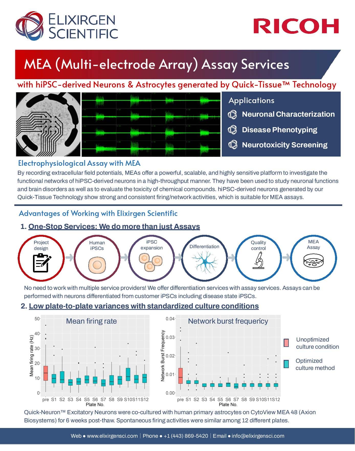 MEA (Multi-Electrode Array) Assay Services with Excitatory Neurons ...