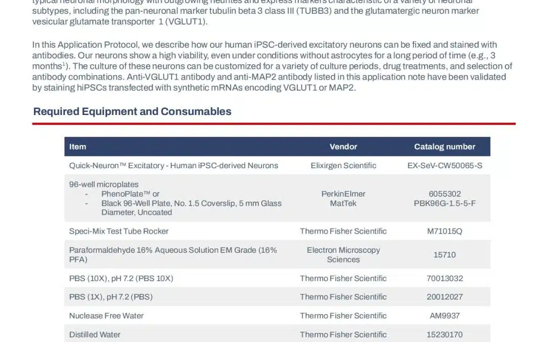 Immunofluorescence Microscopy with iPSC-Derived Excitatory Neurons in a ...