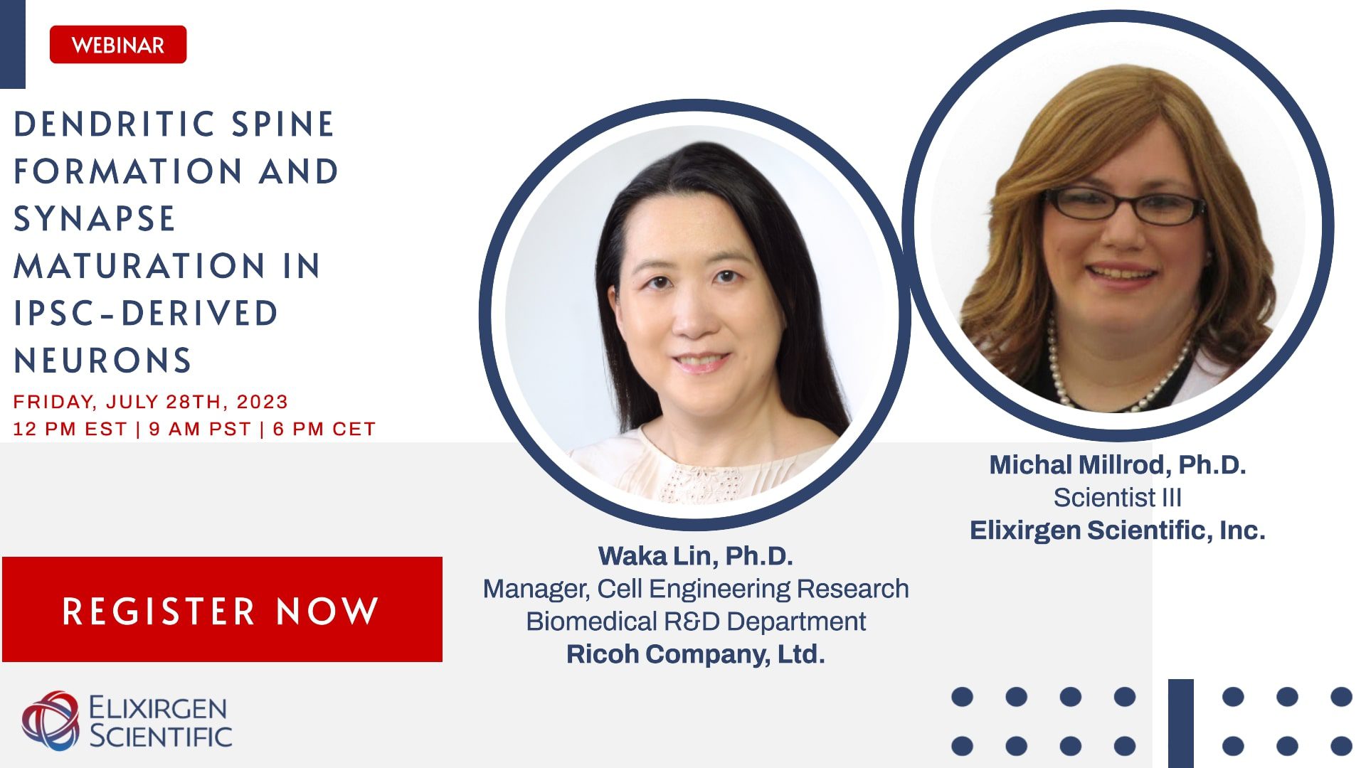 Webinar: Dendritic Spine Formation & Synapse Maturation in iPSC-Derived ...