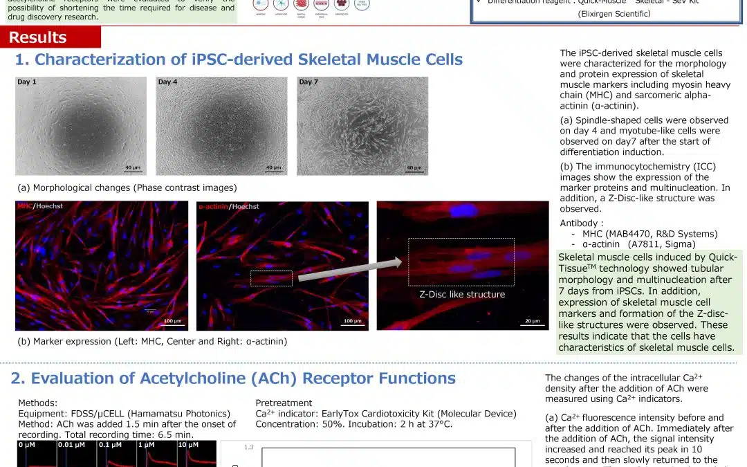 Characterization of iPSC-derived Skeletal Muscle Generated with Rapid ...